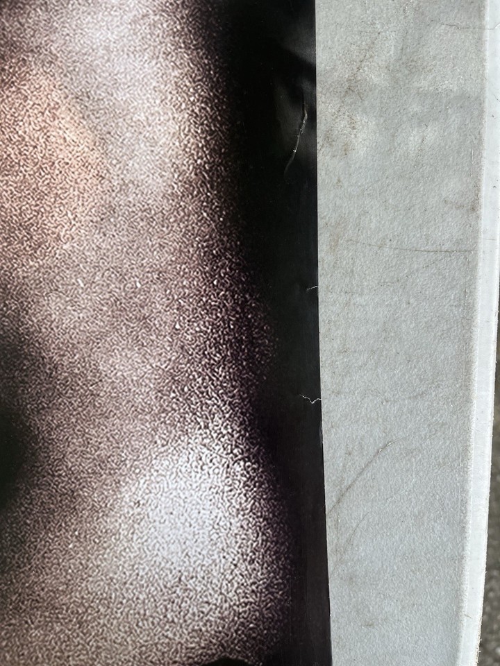 Floyd Mayweather Licensed Reprint Poster 36x24 Boxing TMT Wall Art ...