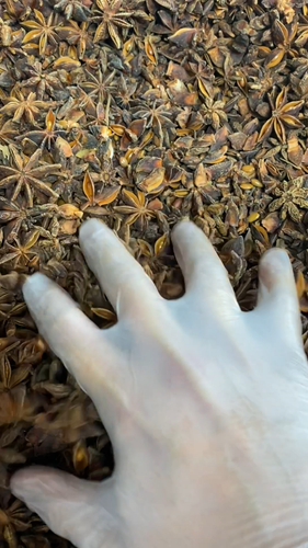 Star Anise Seeds (Anis Estrella) (2oz-4oz-8oz-1lb-2lbs-5lbs-10lbs) | eBay