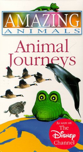 Amazing Animals: Animal Journeys (VHS, 1997) for sale online | eBay