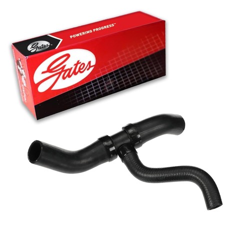 Gates Radiator Coolant Hose Lower For 1997-2004 Ford F-150 | eBay