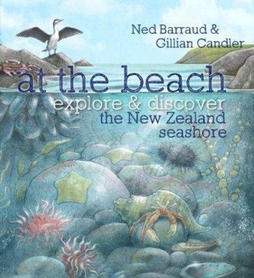 At the Beach: Explore & Discover the New Zealand Seashore by Ned ...