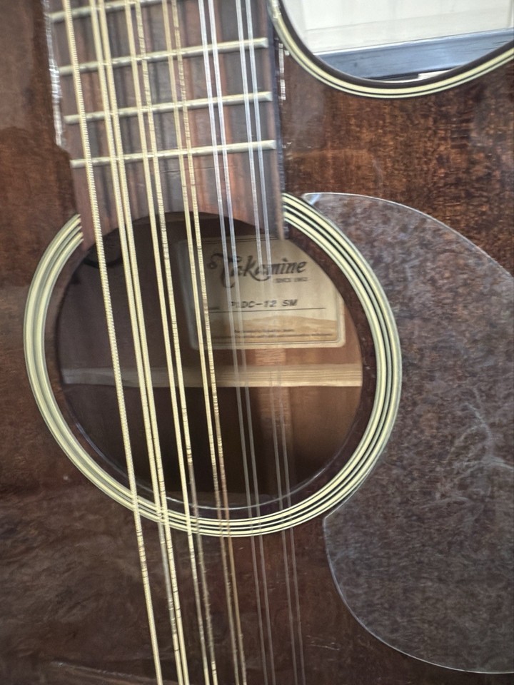 takamine 12 string guitar P1DC-12 * discontinued Rare Guitar * | eBay