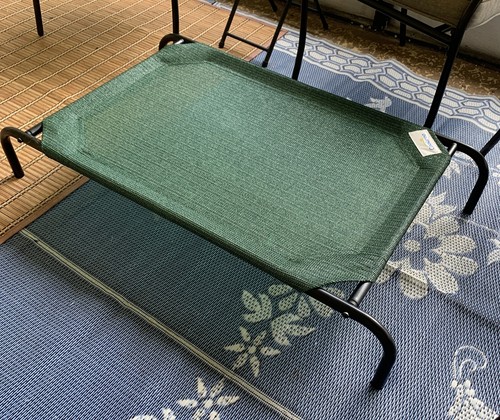 Coolaroo Raised Dog Bed - Small, Green for sale online | eBay