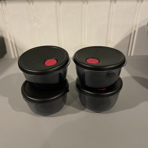 Tupperware Rock N Serve Magnet Miniature - Smidget Size Lot Of 4 | eBay