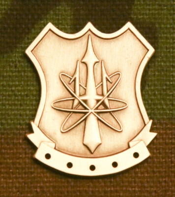 US NAVY USN NUCLEAR WEAPONS SECURITY BADGE; REGULATION FULL SIZE | eBay