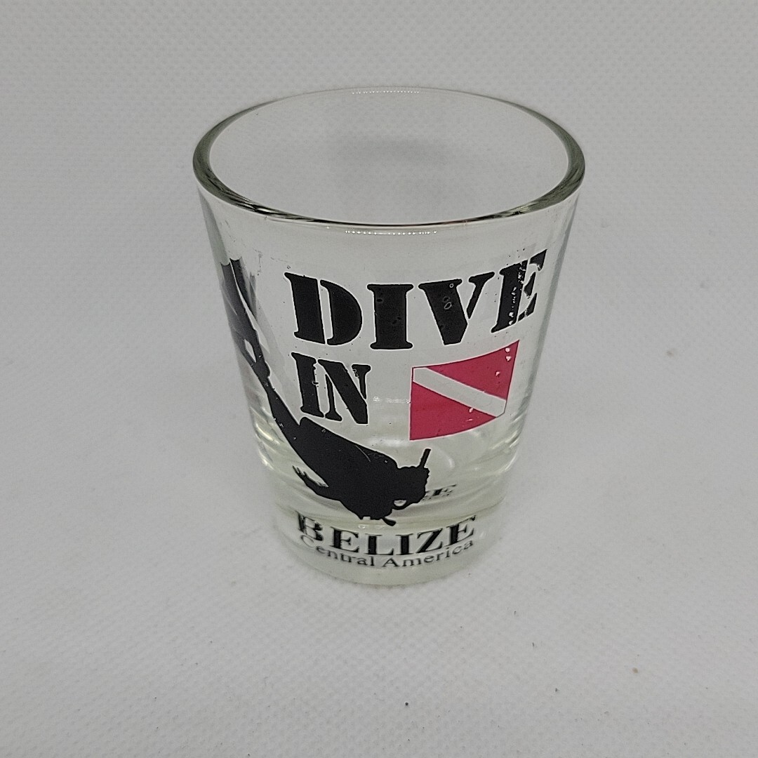 Souvenir Collectible Travel Shot Glass Dive Belize Central America | eBay