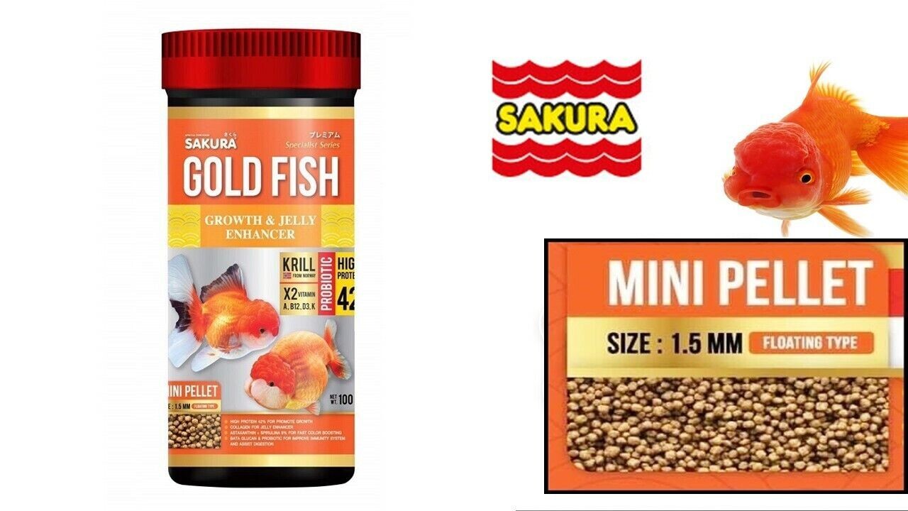 High Protein Sakura Gold Fish Growth & Jelly Enhancer Goldfish Food | eBay