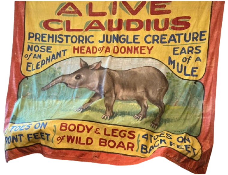 ANTIQUE CIRCUS SIDESHOW BANNER ALIVE FRED JOHNSON 1950'S O. Henry Tent ...