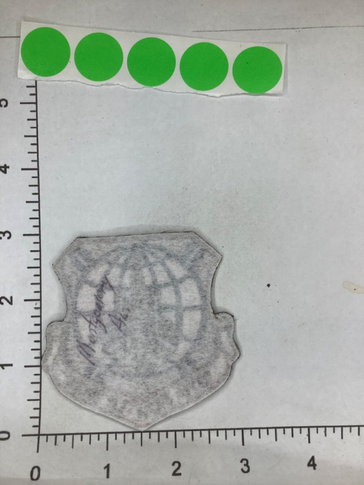 USAF 187th FIGHTER WING SQUADRON PATCH | eBay