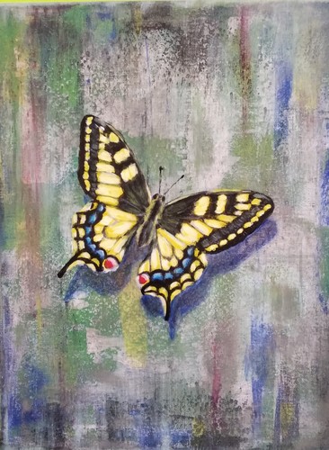 "Metamorphosis in Color" Abstract Butterfly Art, Acrylic on Canvas ...