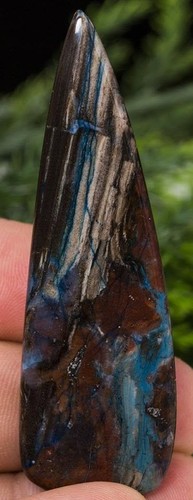 COLLA PETRIFIED WOOD W/ AZURITE, TURQUOISE, CUPRITE, TOKAT, TURKEY | eBay