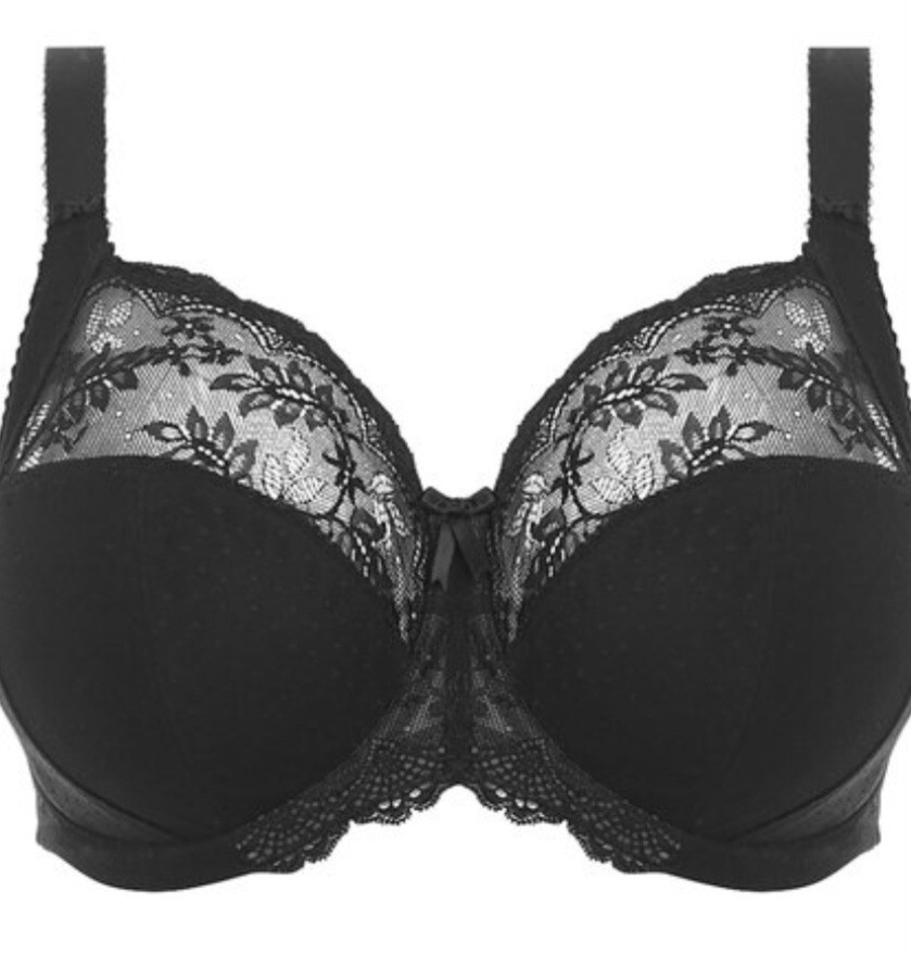 ELOMI Meredith Underwire Banded Stretch Cup Bra, US 40DD, UK 40DD ...