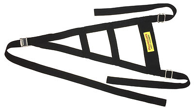 Race Car Dragonslayer Sprint Car Style Black Window Net #1973 | eBay