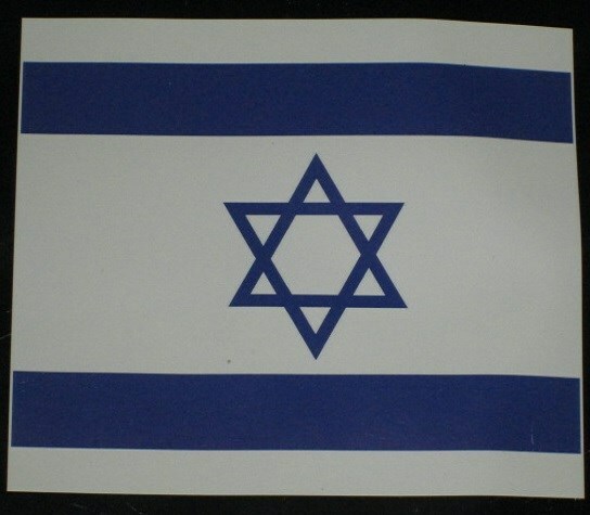 Yiddish Flag Me And My Yiddish Flag In Auschwitz. : R/vexillology