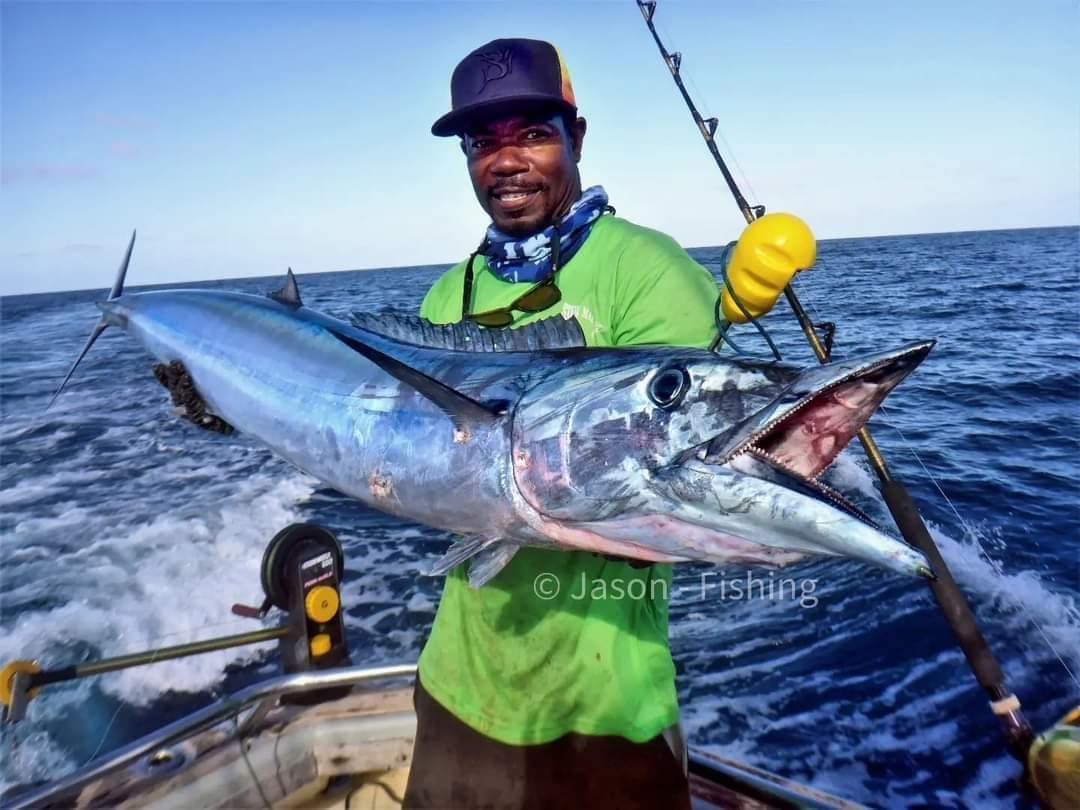 Ikejime Fish Spike Stainless Steel Spike with Protective Cover BPA. Iki ...