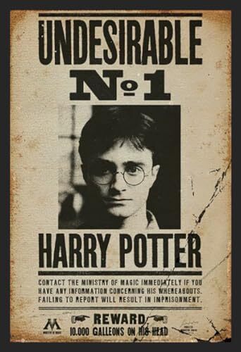 Officially Licensed Harry Potter - Undesirable No 1 Wanted 24 x 36 ...