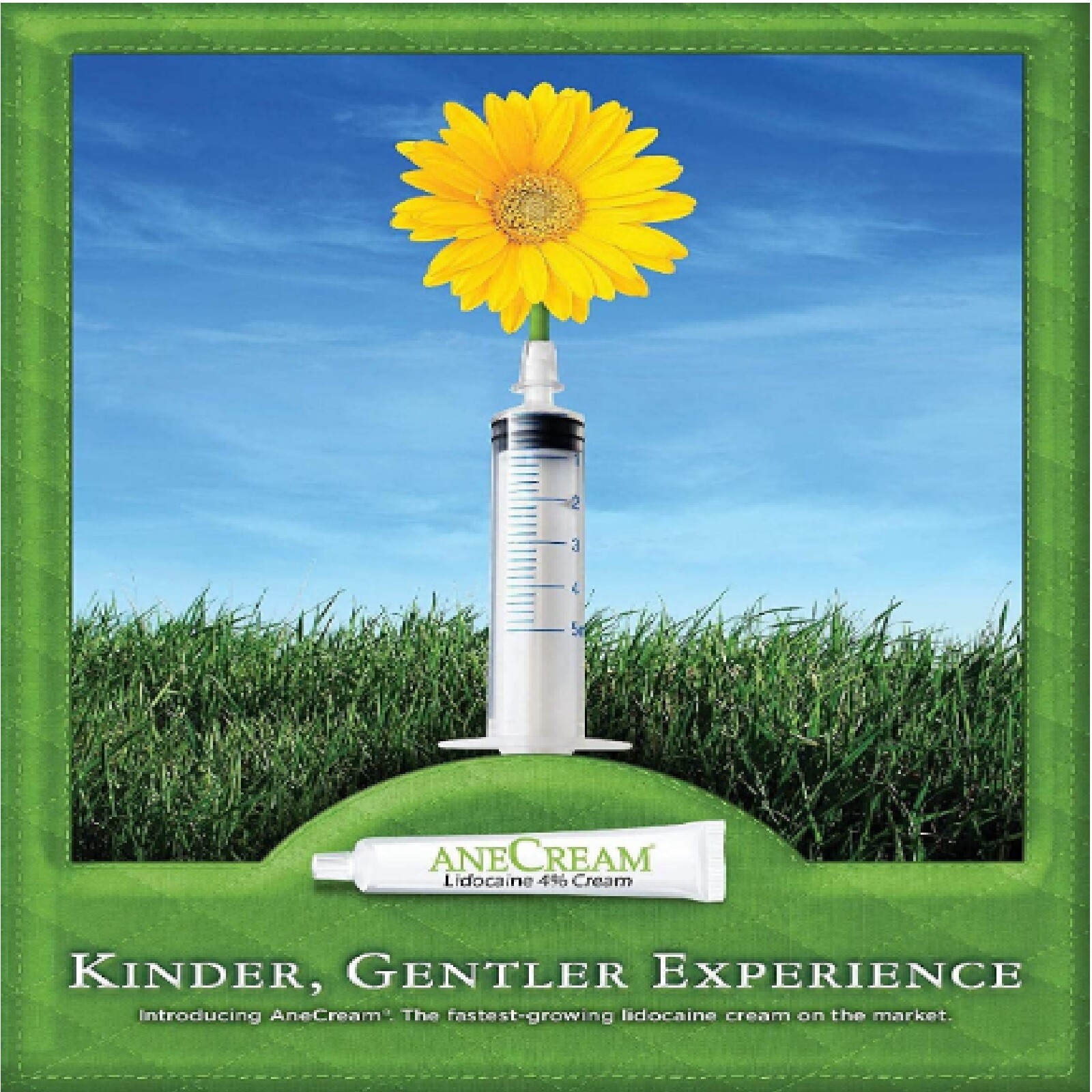 Anecream Lidocaine 4 Topical Anesthtic Cream 30gm 624357701306s3157 for ...