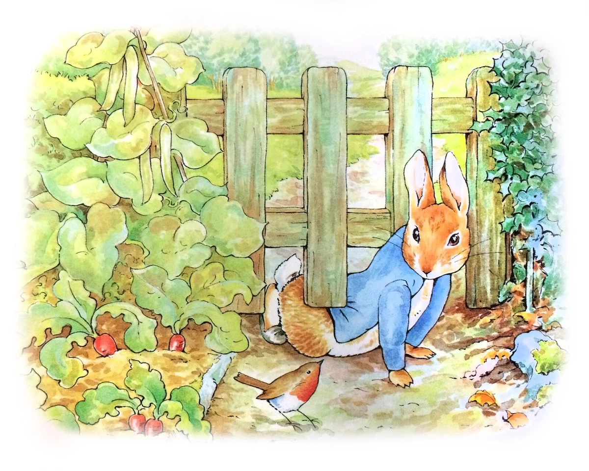Peter Rabbit Beatrix Potter
