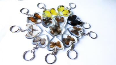 Mix Lot 12 Real Butterfly in Clear Resin Key Ring Insect accessories ...