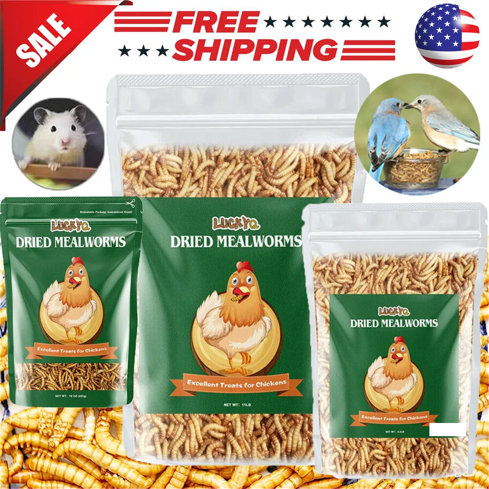Lot Dried Mealworms Non-GMO Organic for Wild Blue Bird Food Chickens ...
