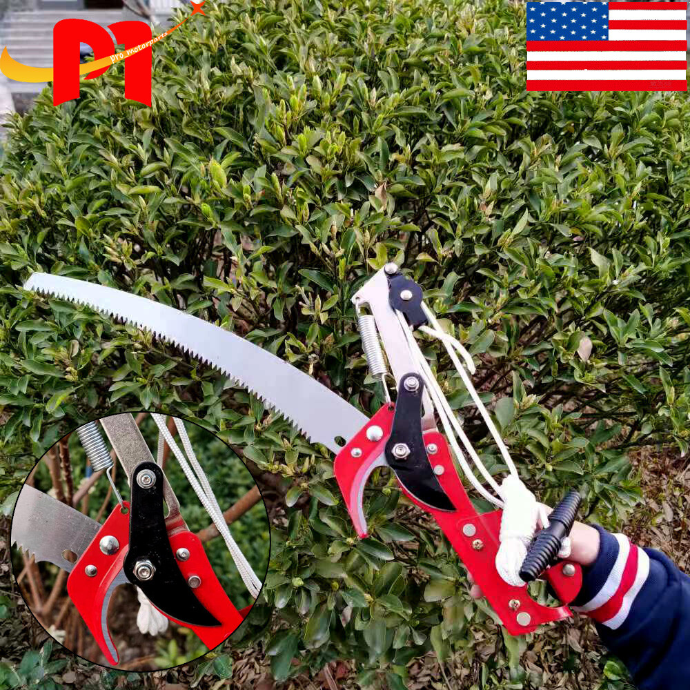 Tree Climber With Saw Pole Saws | Gardenland Power Equipment