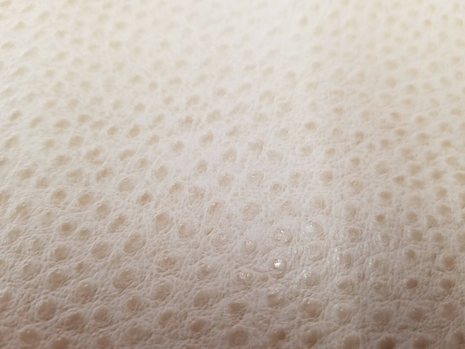 MAJILITE CORPORATION VANILLA BABY OSTRICH FAUX LEATHER 1.6YDS | eBay