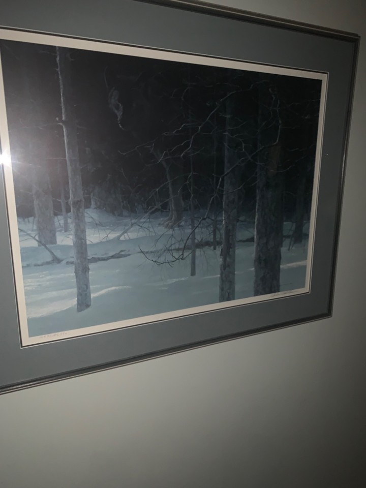 Midnight - Black Wolf by Robert Bateman, Signed Limited Lithograph ...