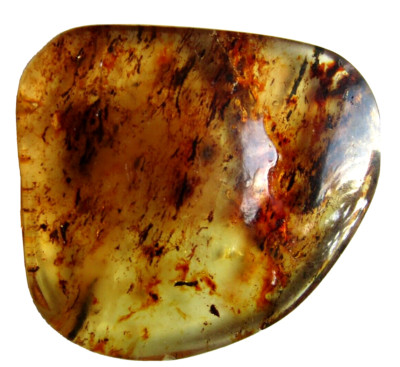 Amber / Copal Fossil Gem 27 grs with fossilized moss | eBay
