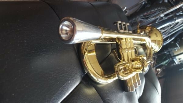 Berkeley Heavy Jazz Bb Trumpet (w/C leadpipes) w/D2H Heavy Cap MP | eBay