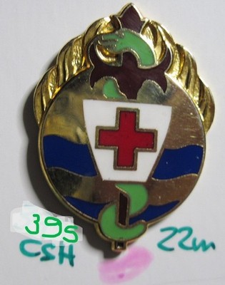 Army crest DI dui CB 395th EVAC HOSPITAL Combat Support CSH 22m Vn era ...