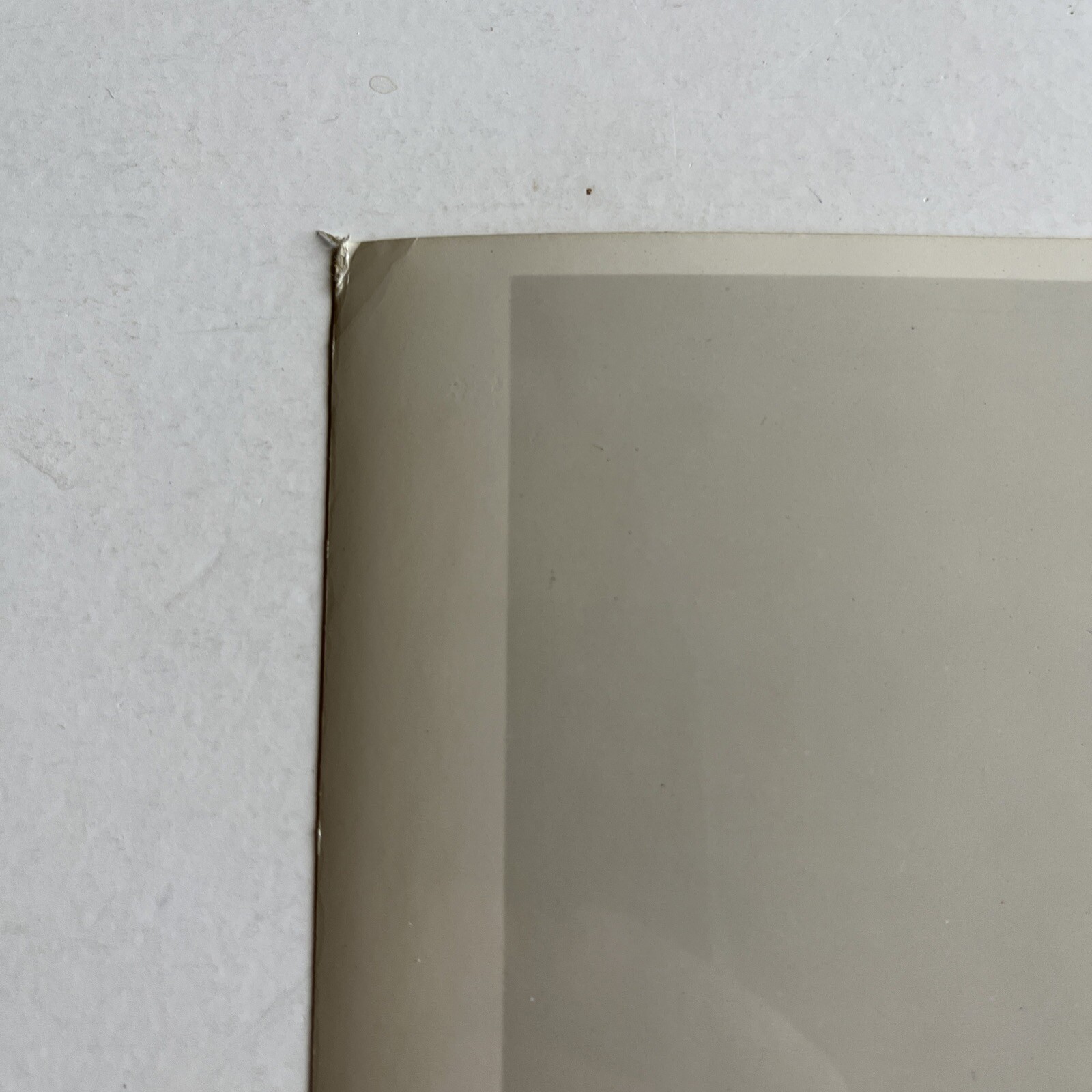 VIOLET VIANN ORIGINAL 8x10 PROMO PHOTO GIRL WOMAN LADY PROFESSIONAL ...