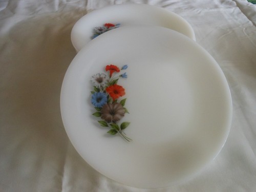 6 assiettes plates Arcopal France motif hibiscus vintage | eBay