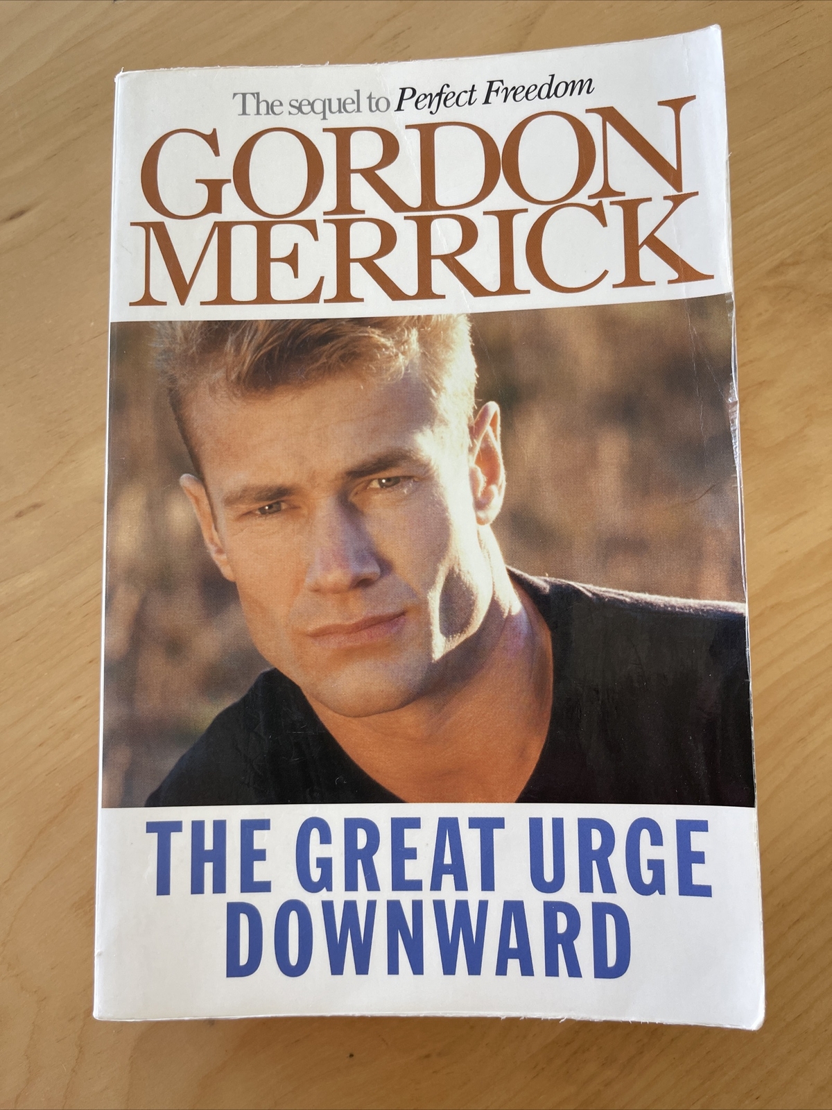 Great Urge Downward by Gordon Merrick (2000, Trade Paperback) | eBay