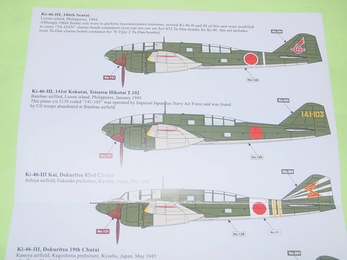 1/48 Rising Decals 100-Ceremony Command Reconnaissance Aircraft3/3 ...