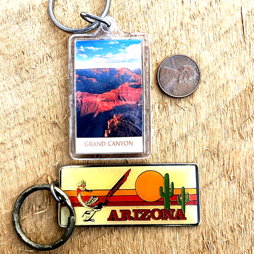 Road Runner Grand Canyon Arizona Cactus Desert Metal Keychain Vintage ...