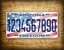 Custom Arizona Freedom License Plate American Flag AZ Replica ...