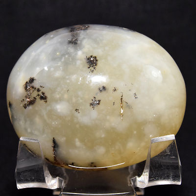 45mm White Dendrite Agate Pebble Natural Dendritic Gemstone Crystal ...