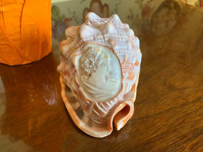 Vintage Cameo Sea Shell Found in England | eBay