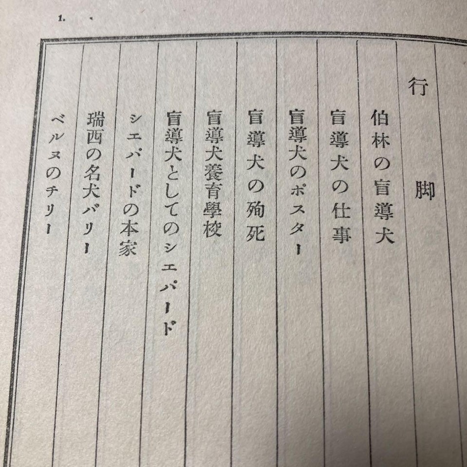 Sakae Nakane Dog Story Vintage Book, 1930s, Poor Condition, Japanese ...