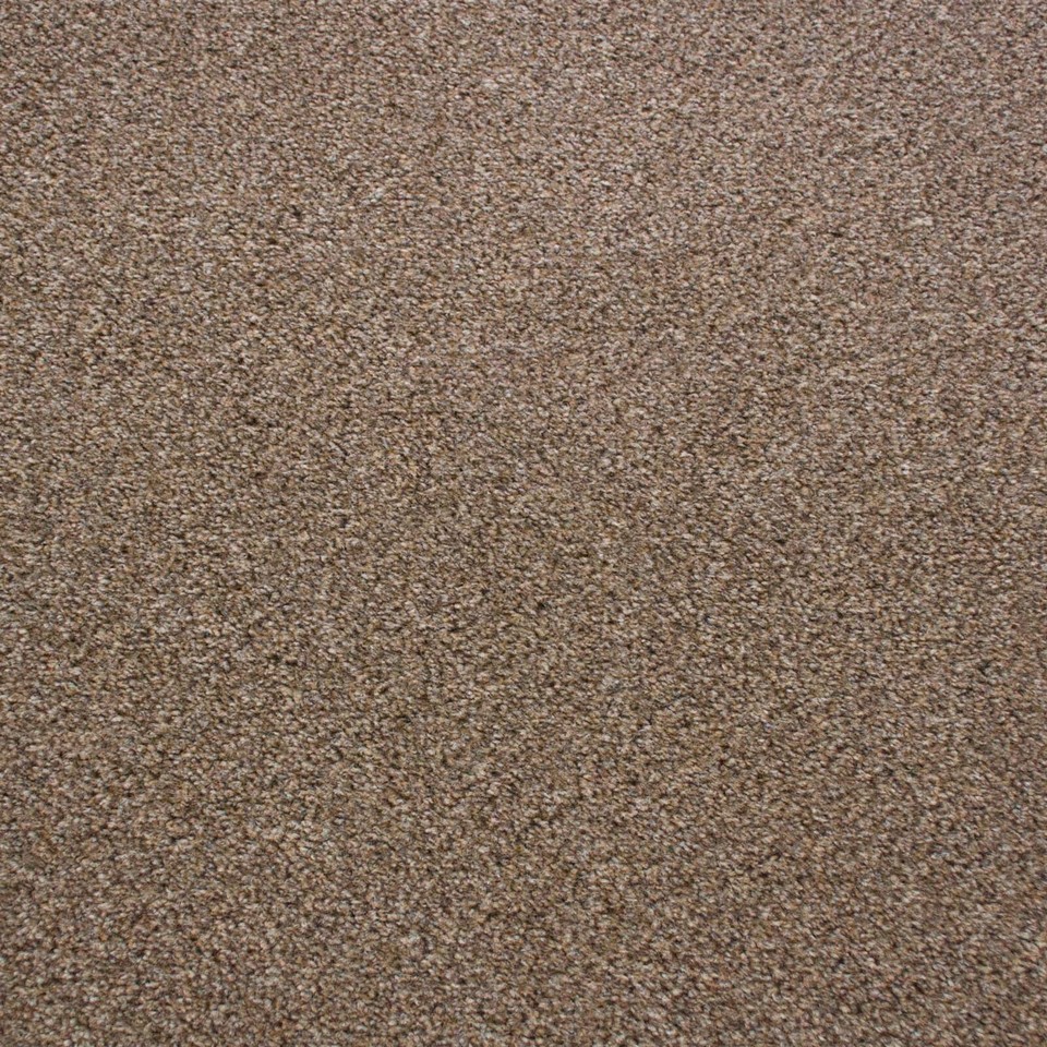 Beige Carpet Cheap Beige Carpets Loop Twist & Saxony Pile Beige Carpets ...