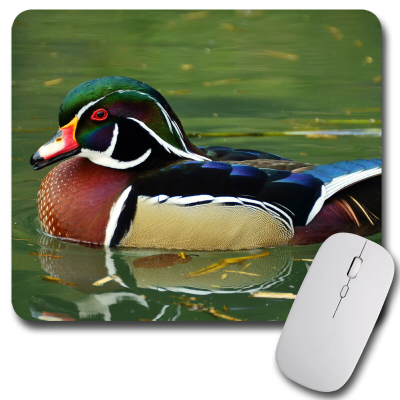 Wood Duck Drake ~ Mousepad / PC Mouse Pad ~ Gifts for Hunter Hunting ...