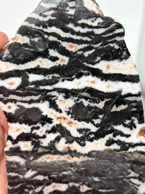 Zebra stone aka Zebra Marble end Slab Cabbing Lapidary Carving Reiki ...