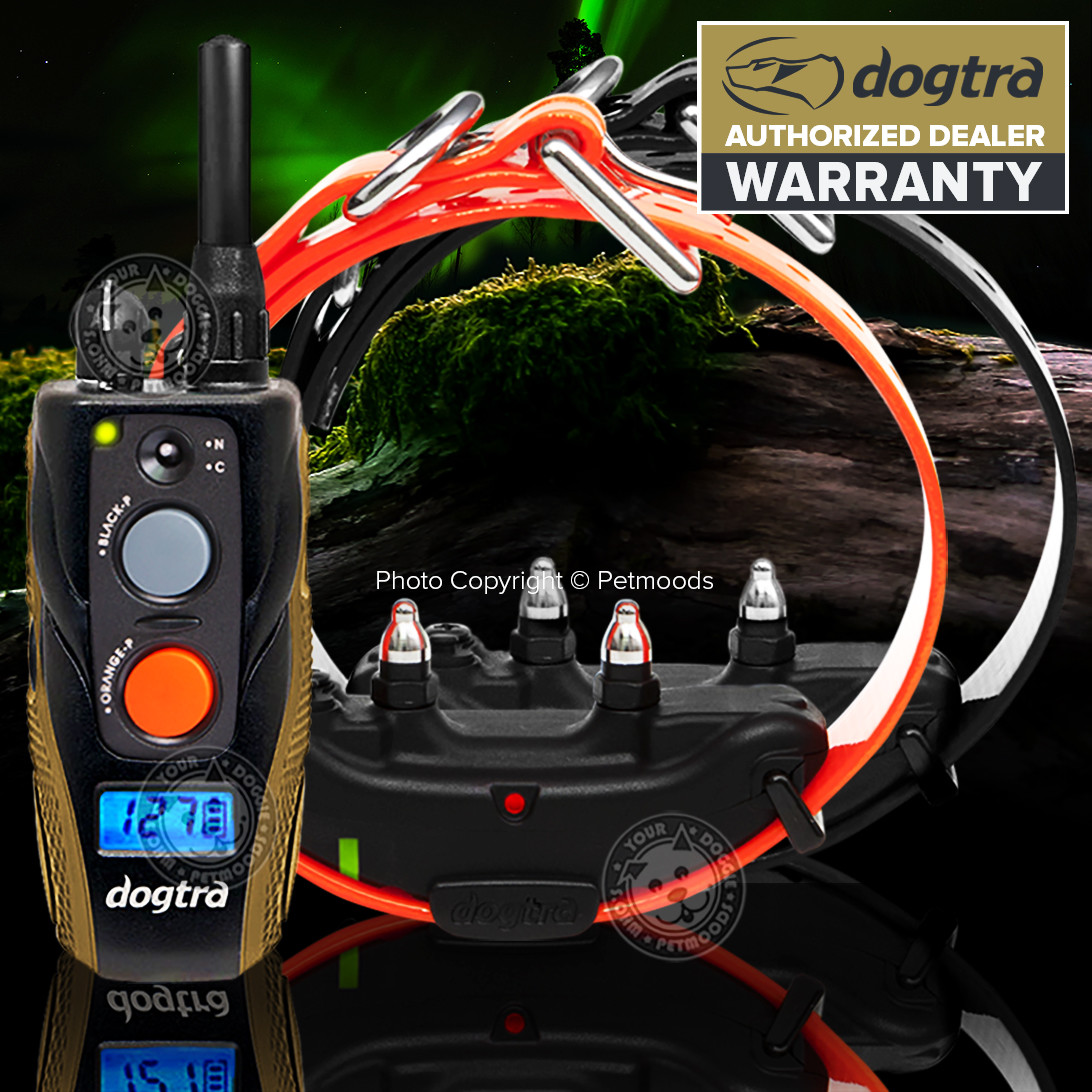 Dogtra 1902S Remote Trainer IPX9K e-Collar 3/4-mile range 2-Dog System | eBay
