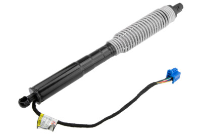 Gas Spring Trunk Tailgate Right for Series 5 2016-2020 51247366404 | eBay