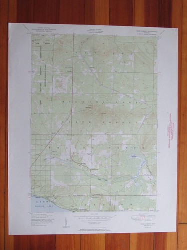 Pere Cheney Michigan 1951 Original Vintage USGS Topo Map | eBay