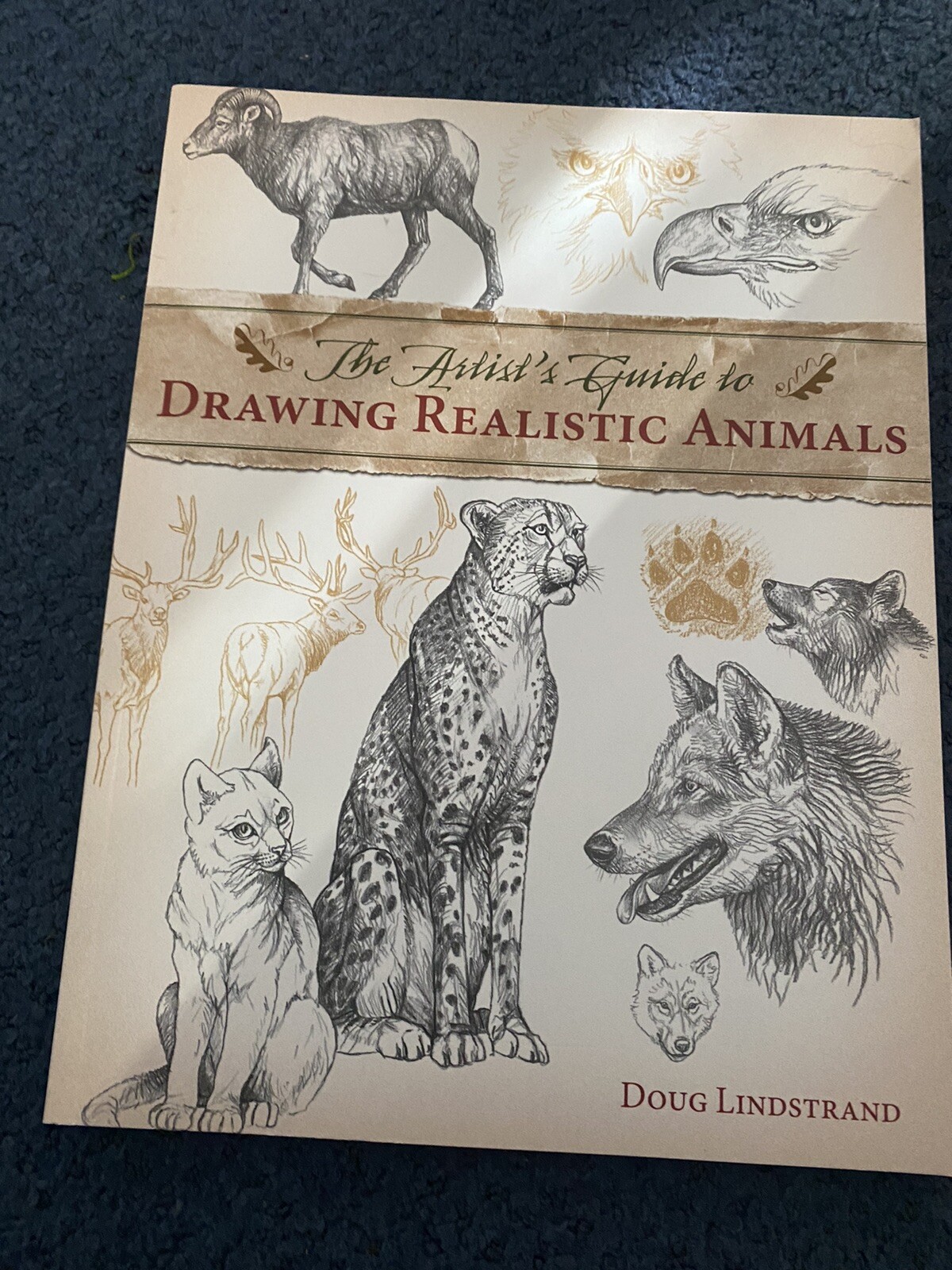 Artist's Guide to Drawing Realistic Animals by Doug Lindstrand (2006 ...