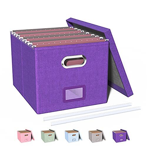 File Organizer Box,Filing Box with Lid,File Box for Letter/Legal 1 pack ...