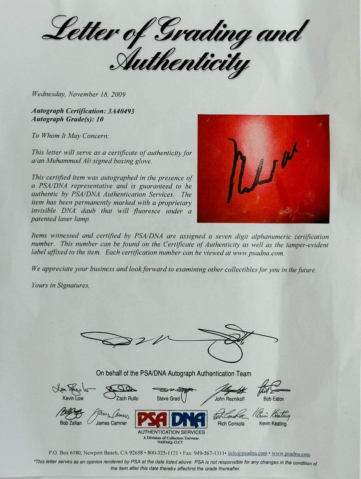 Muhammad Ali Autographed Red Everlast Left Hand Boxing Glove (PSA) Auto ...