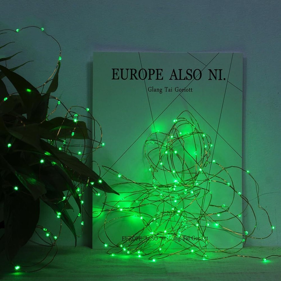 10x Fairy String Lights Micro Rice Copper Wire Xmas Light LED 2M ...