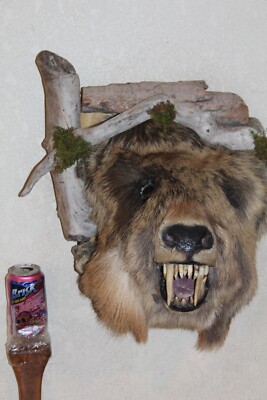 Fantasy Wild Creature Monster Scary Werewolf Mount Taxidermy Log Cabin ...
